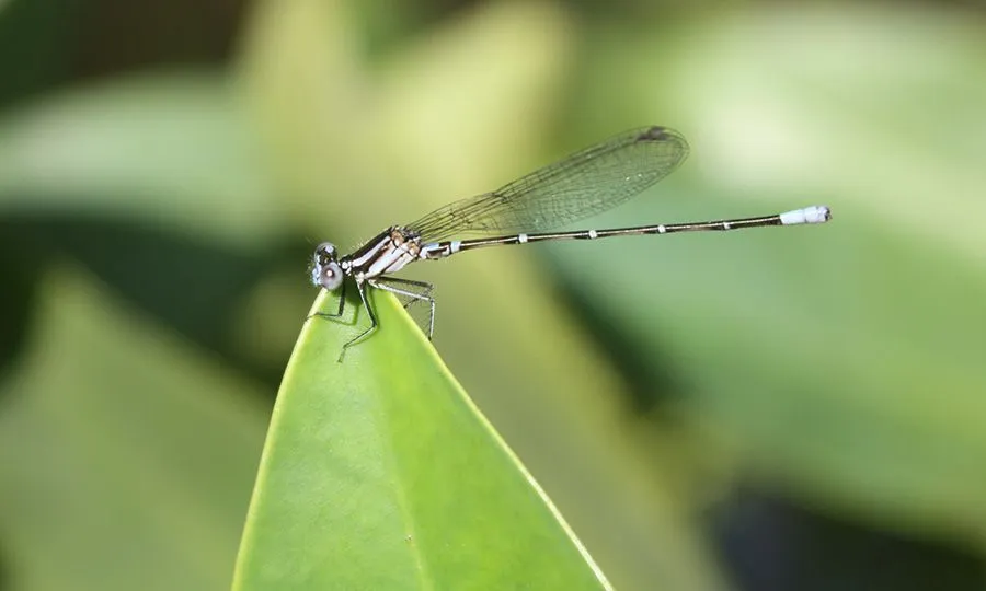 Vacaciones Todo Incluido | Moon Palace The Grand Cancún