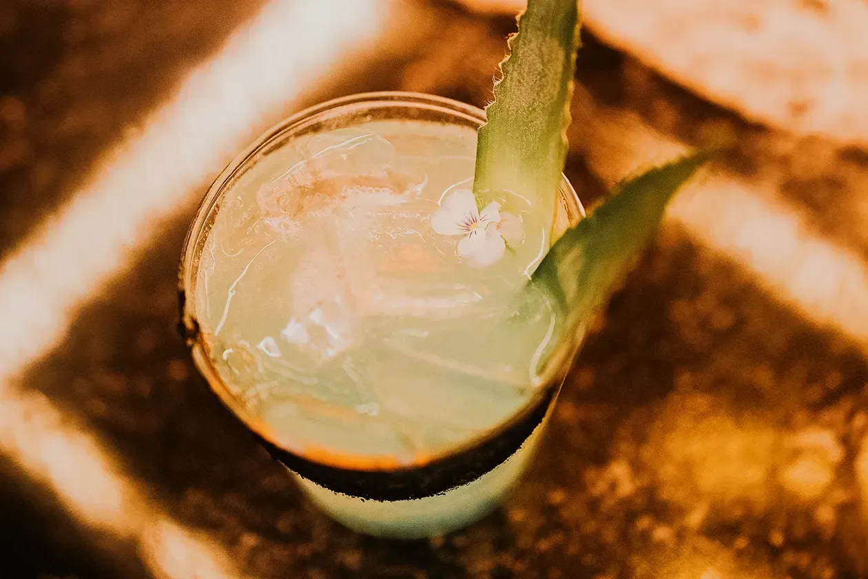 Habibi - Lebanese Food | Moon Palace The Grand Cancun